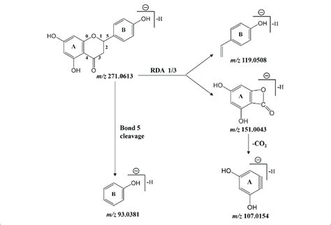 Proposed Fragmentation Pattern Of Deprotonated Naringenin Download