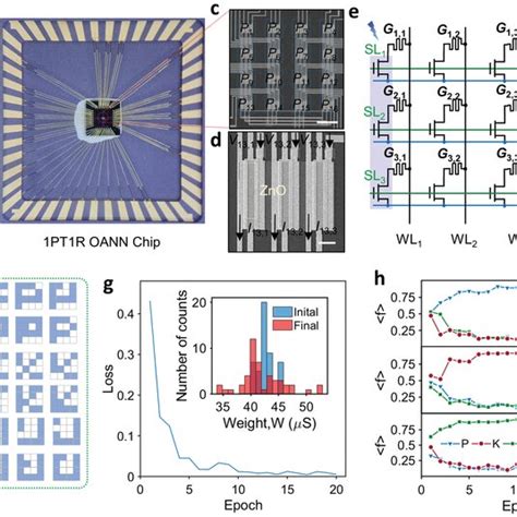 Implementation Of An Oann Based On The 1pt1r Memristors‐array For