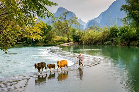 中国旅游新闻客户端 广西乡村旅游高质量发展专项规划20222025 年发布 媒体声音 广西壮族自治区文化和旅游厅网站