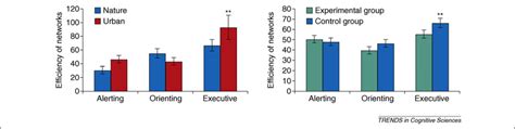 Attentional Networks Comparison For Exposure To Nature And Ibmt A Download Scientific