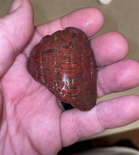 Is This A Fossil Egg Rfossilhunting