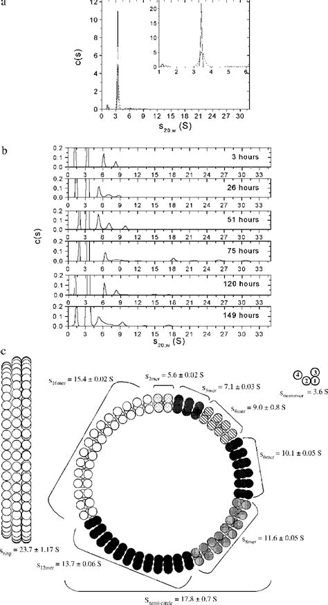 Figure 1 From The Solution Structure And Oligomerization Behavior Of Two Bacterial Toxins