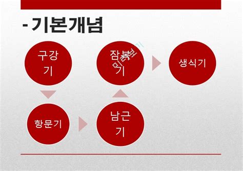 정신 분석학프로이트프로이트의 생애프로이트의 업적성격발달이론사범교육레포트