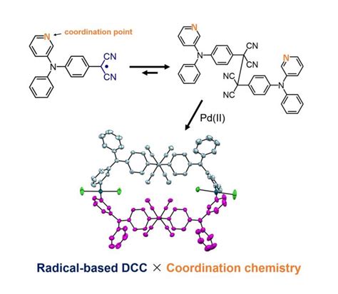 Combining Dynamic Covalent Che Image Eurekalert Science News Releases