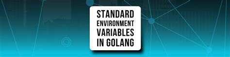 Standard Environment Variables In Golang By Taras Sahaidachnyi Medium