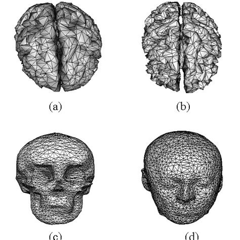A Intersecting Mesh Of The Outer Skull And The Eyes B Whole Head Download Scientific