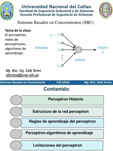 Perceptron Pdf Red Neuronal Artificial Matemáticas