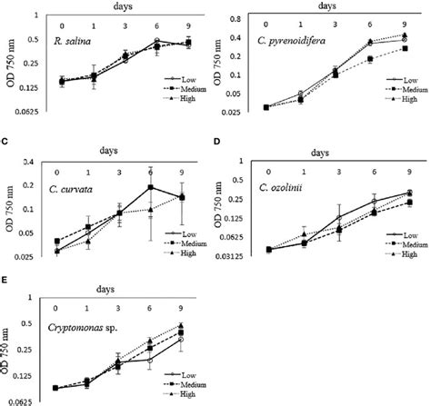 Growth Curve Of Studied Cryptophyte Strains A R Salina B C