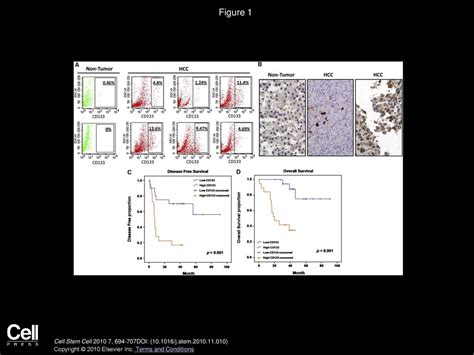 Volume Issue Pages December Ppt Download