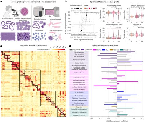 Thematic Categorization And Selection Of Features Using The Cps Ii