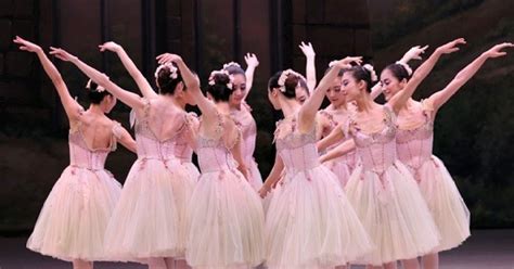 포토 서울발레시어터 발레단 꽃의 왈츠