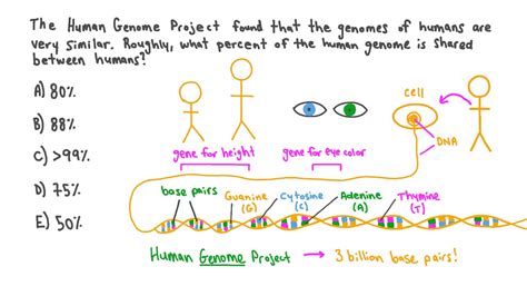Dna Similarities