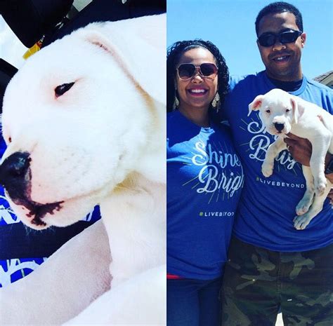 Pin By Joe Vargas On Judah De Argentum X Guria Verdes Pampas Litter