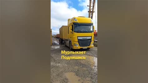 მალე ულამაზესი და რთული გზა СКОРО КРАСИВАЯ И ОПАСНАЯ ДОРОГА
