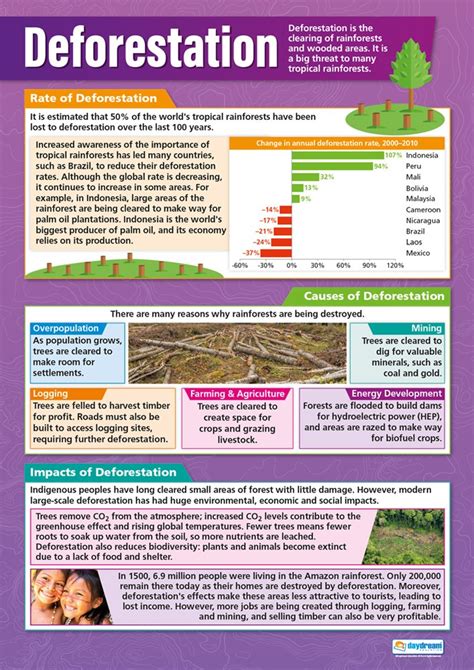 Deforestation Infographic Video