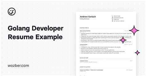 Golang Developer Resume Example