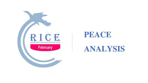 သာမန်မဟုတ်သော တော်လှန်ရေးစုဖွဲ့မှု၊ ဒေါ်စုနှင့် တိုင်းပြည်ငြိမ်းချမ်းရေး