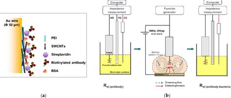 Table 1 From Selective Detection Of Escherichia Coli K12 And