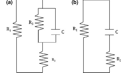 8 A Hayden Model R 1 Apoplasmic Resistance R 2 Symplasmic Download Scientific Diagram