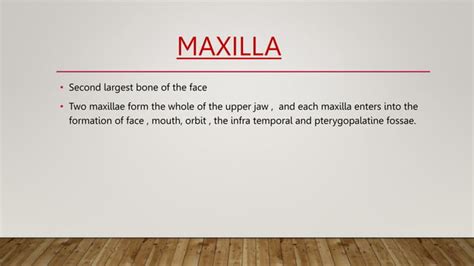 Anatomy Of Maxilla Oral And Maxillofacial Surgery Topic Omfs Ppt