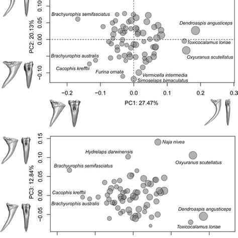 Principal Component Pc Analysis Plots Showing The Three Main Axes Of Download Scientific