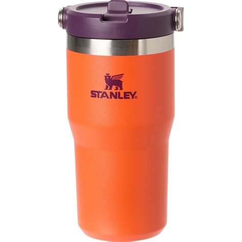 Stanley Classic Iceflow Flip Straw Water Bottle 20 Oz Save 33