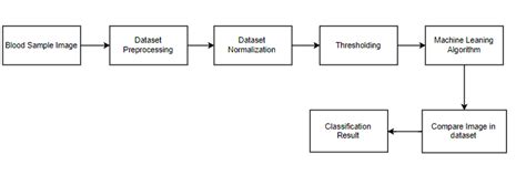 Cancer Cell Detection 2 Pseudo Code Download Scientific Diagram
