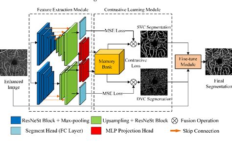 Figure 1 From Retinal Octa Image Segmentation Based On Global