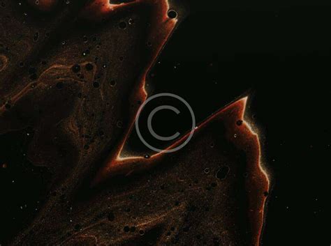 Services Erotic Flavor