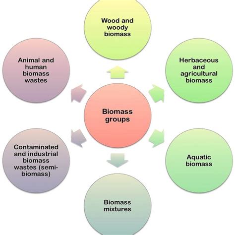 Schematic Diagram Of The Anaerobic Digestion Process Download Scientific Diagram