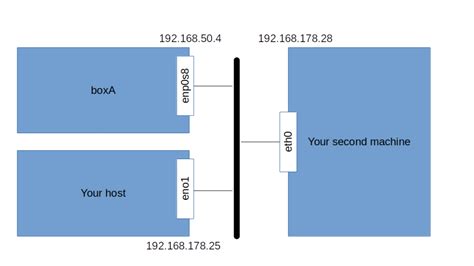 Virtual Networking Labs More On Bridges Leftasexercise