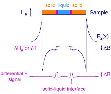 Visualization Of The First Order Vortex Lattice Melting Transition Zeldov Group