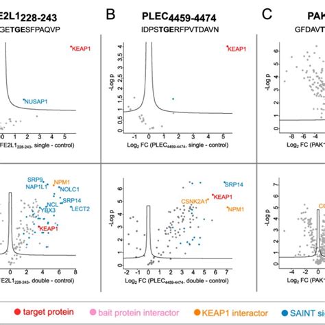 Volcano Plots Of Label Free Quantification Of Prisma Assays Using Tge
