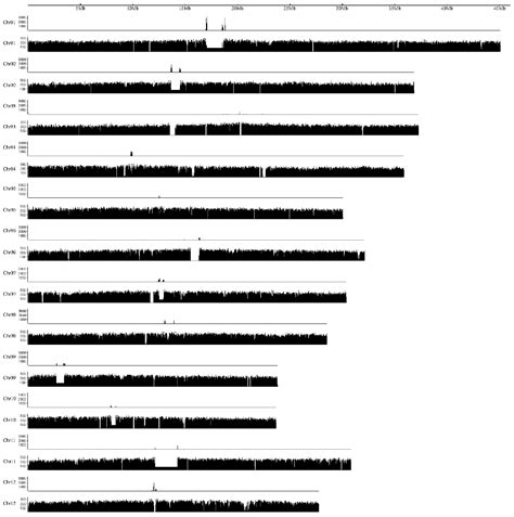 Population Genetic Evolution Map And Construction Method Thereof Eureka Patsnap