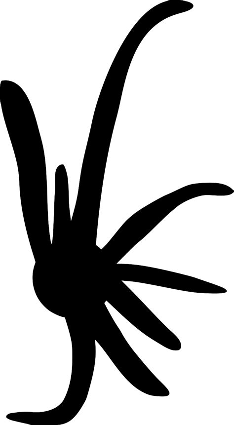 Polypodium Hydriforme Cc0 10 Phylopic