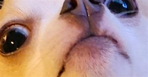 Explain Album On Imgur