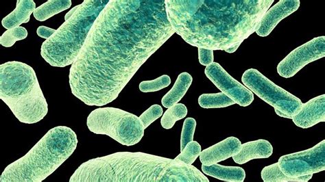 Pathogenicity Islands Microbiology Class