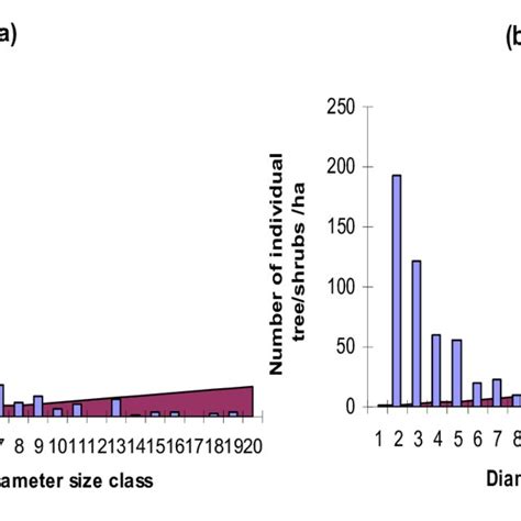 Diameter Size Class Distribution Of The Entire Vegetation At