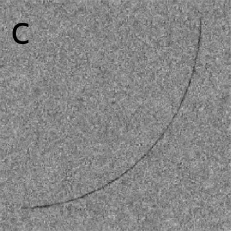 Numerical Experiment Download Scientific Diagram