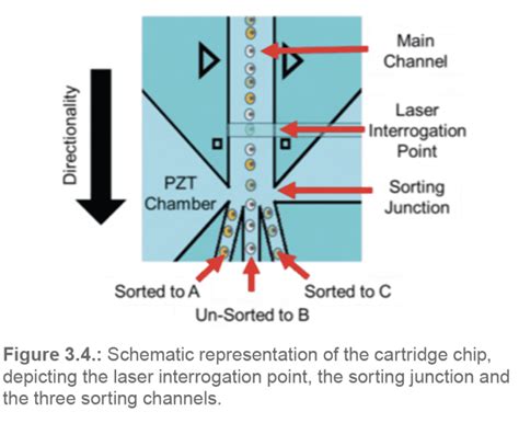 Microfluidic Cell Sorting Technology Nanocellect