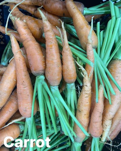 Spring Corner Spring Corner Added A New Photo