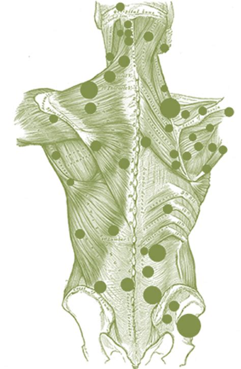 Manual Hook Massage Tool Manual Hook Massage Tool