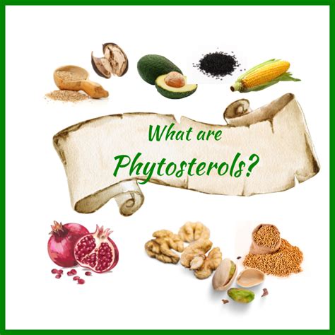 What Are Phytosterols