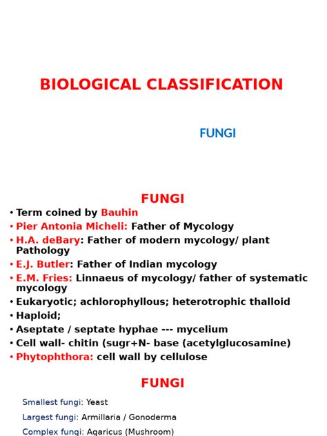 Biolg Classification Fungi Pdf