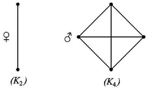 Example Of Relation Graph Download Scientific Diagram
