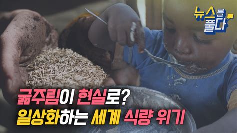 뉴스를 풀다 굶주림이 현실로 일상화하는 세계 식량 위기