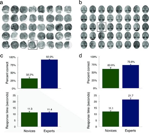 An Example Fingerprint Array With A Loop Target A And An Inverted Download Scientific