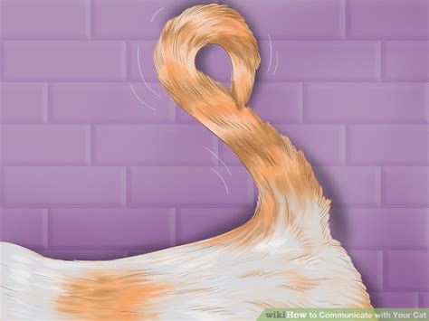 3 Ways To Communicate With Your Cat WikiHow