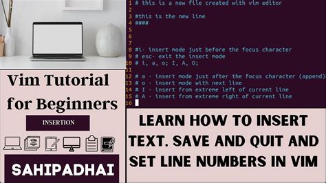 Vim Tutorials For Beginners Insert Save And Line Numbers Youtube
