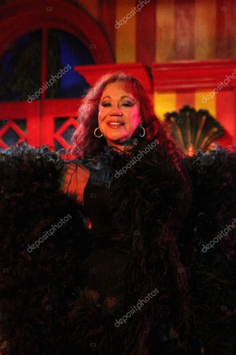 Kitten Natividad Stock Editorial Photo S Bukley